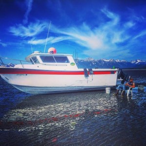 Alaska Razor Clam Digging- Ninilchik Charters Alaska